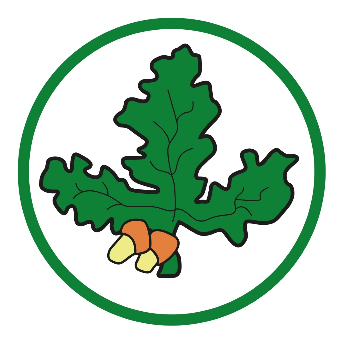 Merley First School - Magical Merley Memories