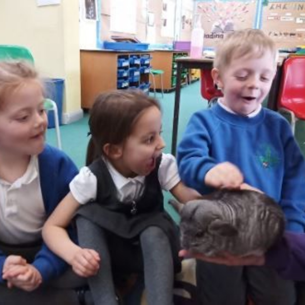 Merley First School - Year 1 Creature Teachers