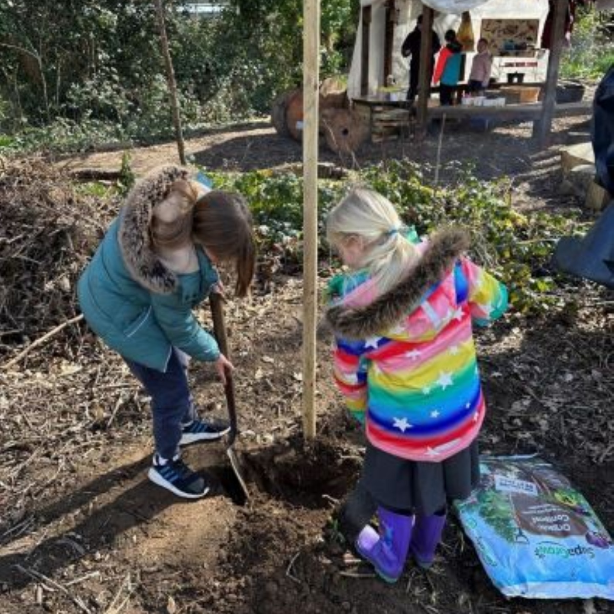 Merley First School - Merley First School - Tree Planting